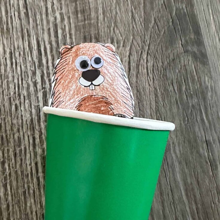 Fun Groundhog Day Crafts, Free Printables, and Activities for Kids ...